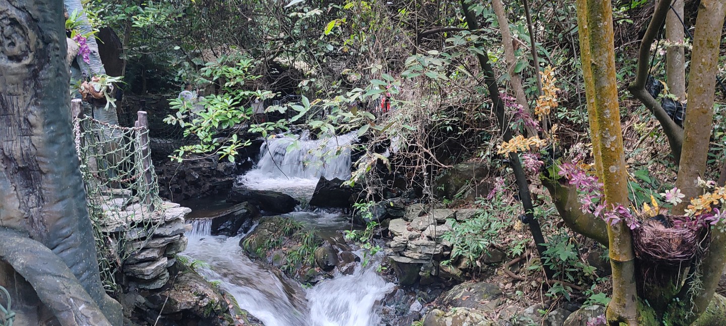 Thrills and adventures for all at Gulong Gorge – GZ KIDZ